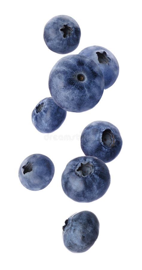 Tasty Fresh Ripe Blueberries Falling on White Background Stock Photo ...