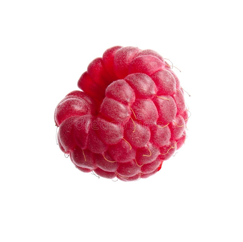 Tasty Fresh Ripe Raspberry Isolated on White Stock Photo - Image of ...