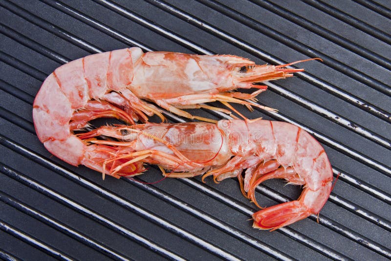 Tasty fresh seafood stock image. Image of macro, cuisine - 21994287