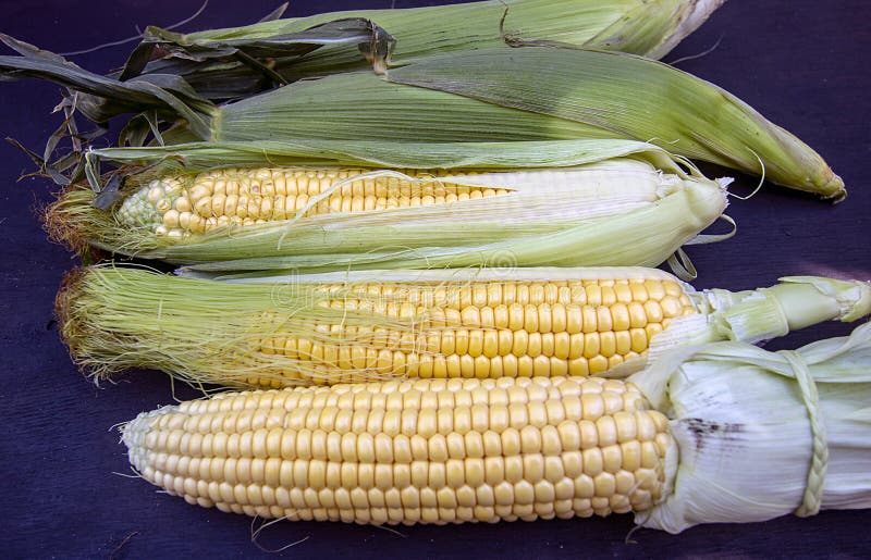 Tasty Fresh Useful Yellow Corn Stock Photo - Image of corn, cherries ...
