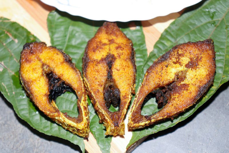 Fried Hilsa Fish on Kitchen Stock Photo - Image of uncooked, delicious ...