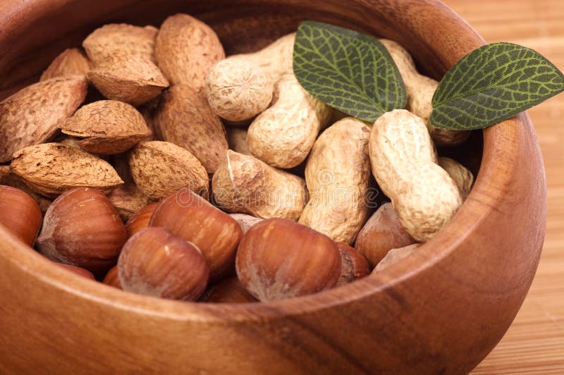 Tasty Hazelnuts stock image. Image of nuts, cashews, bowl - 31340329
