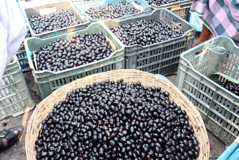 Black Java Plum Stock on Shop Stock Image - Image of sweet, plant ...