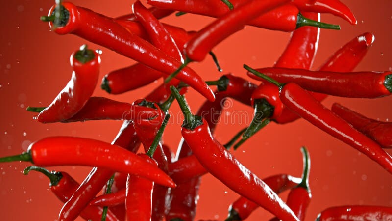 Red chili peppers dancing stock photo. Image of burn - 19869412