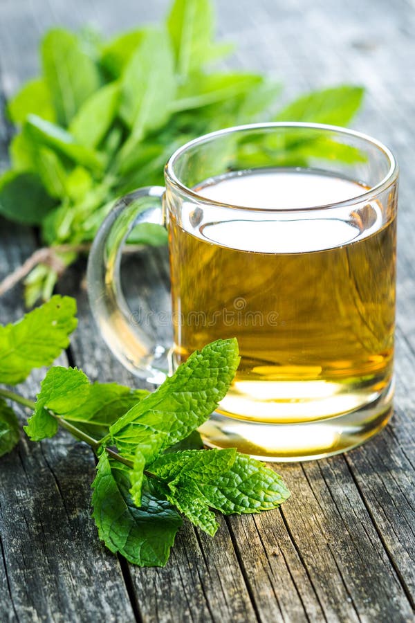 Tasty mint tea. stock image. Image of health, closeup - 100352663