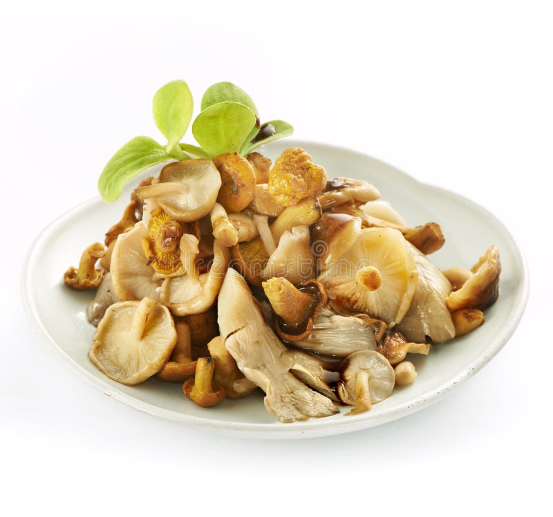 Tasty mix of mushrooms stock photo. Image of lunch, shitake - 32761046