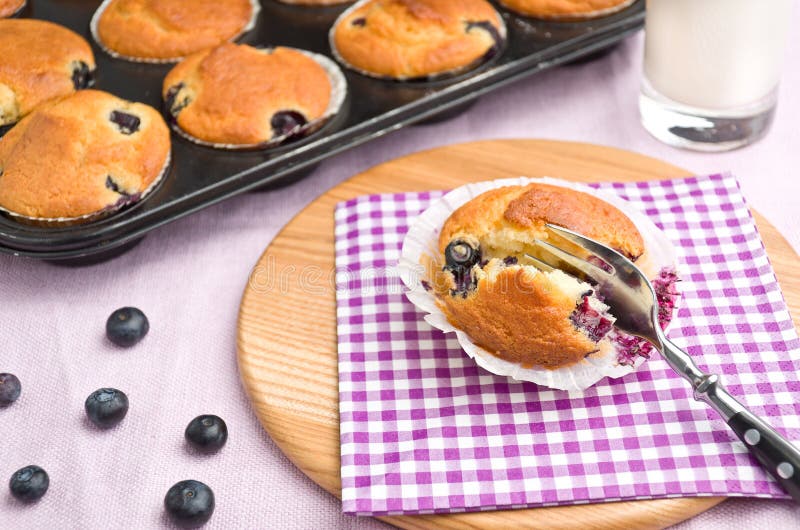 Tasty muffin stock photo. Image of paper, treat, fruit - 23931954