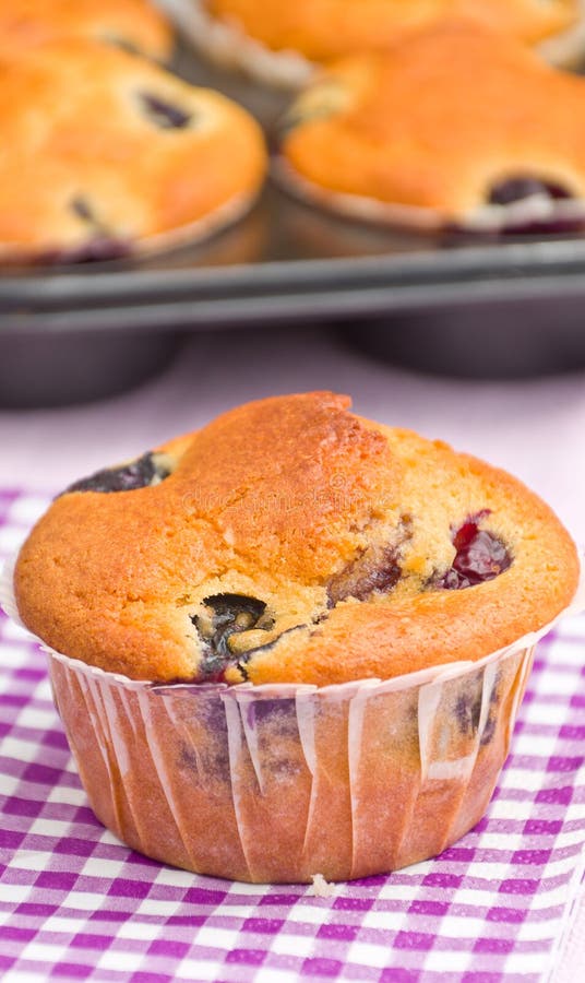 Tasty muffin stock image. Image of treat, homemade, blueberry - 24057327