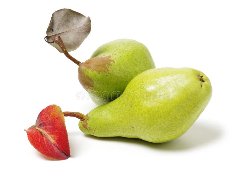 Tasty pear stock photo. Image of white, fresh, brown - 131659042