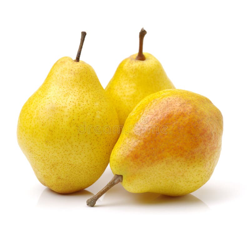 One Tasty Pear Ripening on a Tree from Close Stock Image - Image of ...