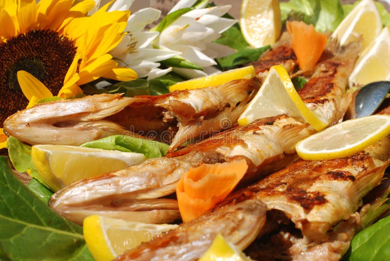 Tasty pike perch fish stock photo. Image of fish, dish - 17363680