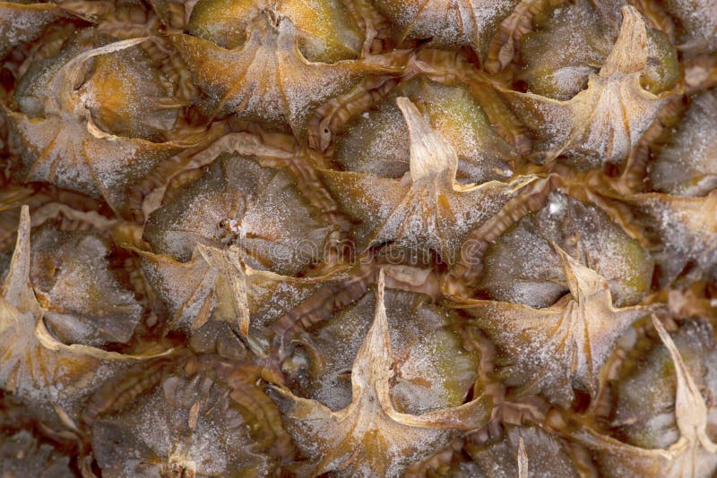 Pineapple skin texture stock image. Image of tasty, fresh - 179601441