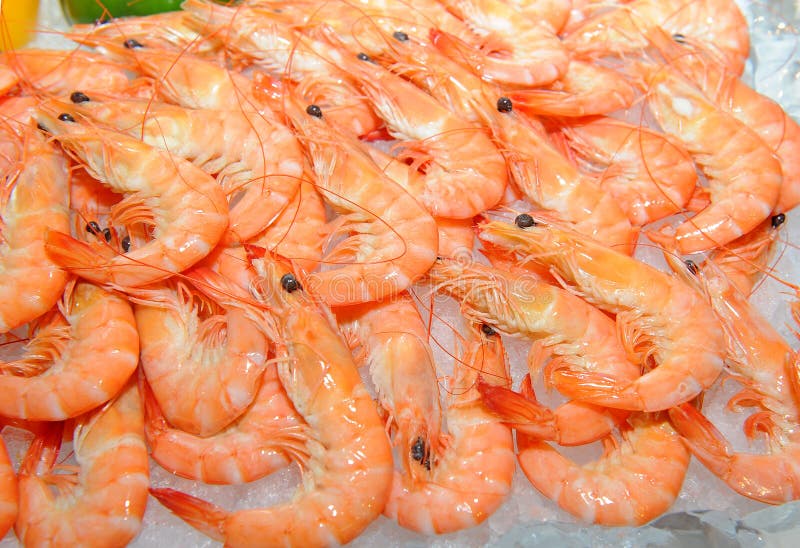 Tasty healthy fish fillet stock photo. Image of fresh - 19848832