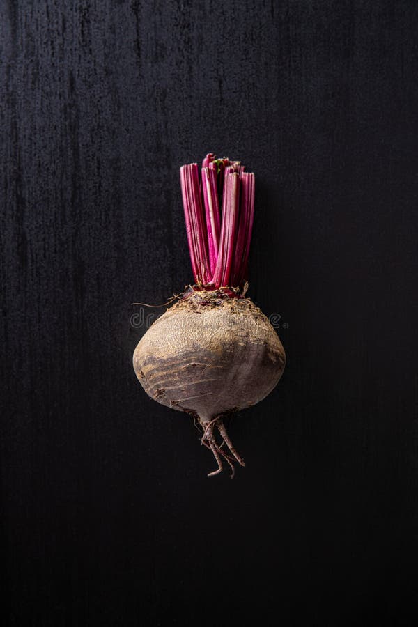 Tasty raw beetroot stock photo. Image of beetroot, food - 158792328