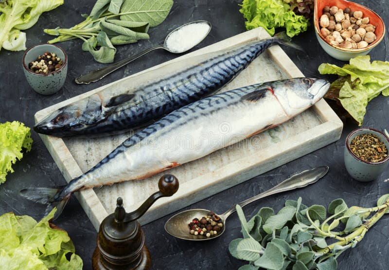 Tasty raw mackerel fish stock photo. Image of ingredient - 344349940