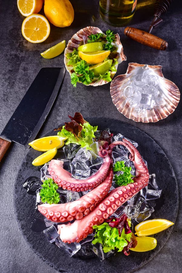 Raw octopus on the ice stock image. Image of fish, germany - 116428695