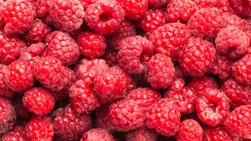 Tasty Red Raspberry Background Stock Photo - Image of healthy, berry ...