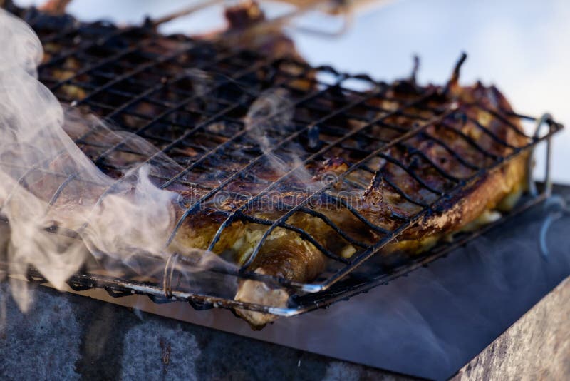 Tasty roast duck stock photo. Image of oven, wooden, meat - 64710950