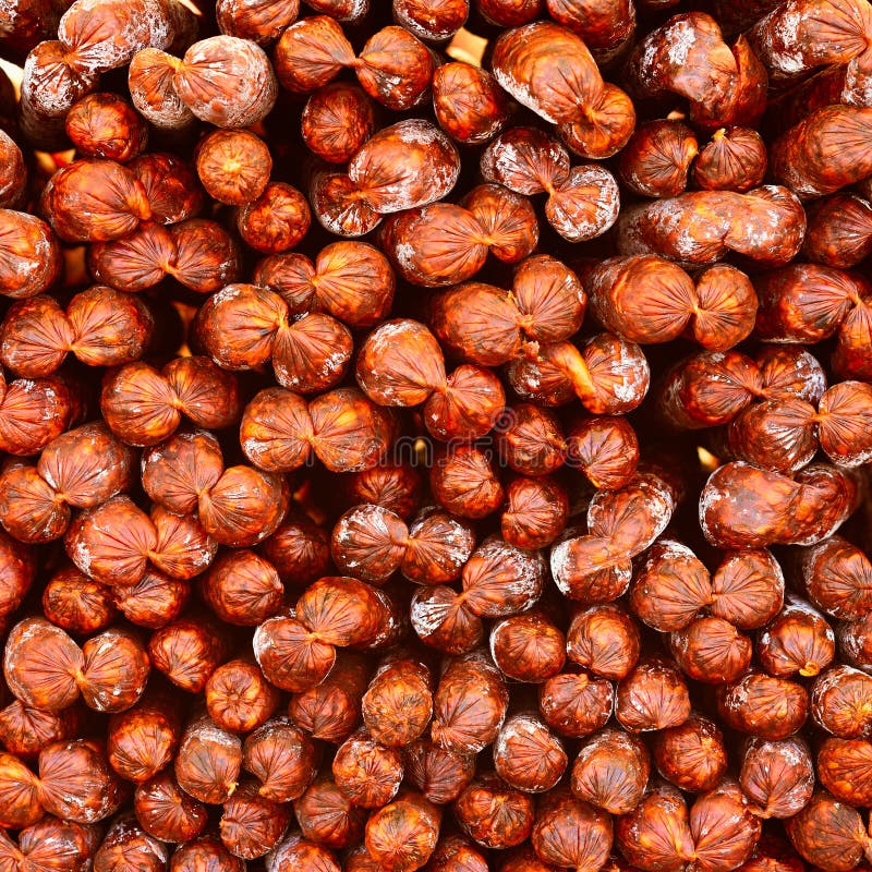 Tasty and Spicy Hungarian Sausages Stock Image - Image of delicious ...