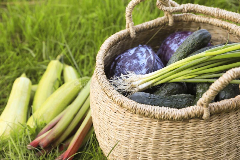Tasty Vegetables with Wicker Basket on Green Grass, Closeup Stock Photo ...