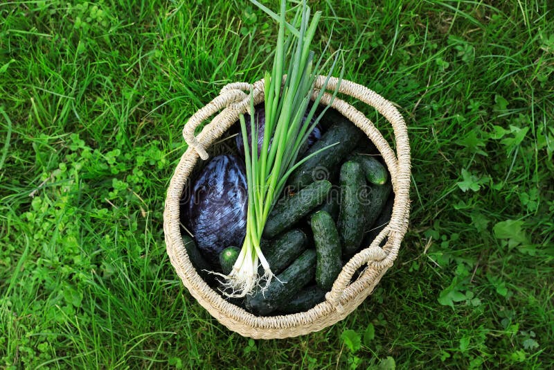 Tasty Vegetables in Wicker Basket on Green Grass, Top View Stock Image ...