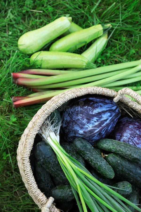 Tasty Vegetables with Wicker Basket on Green Grass, Top View Stock ...