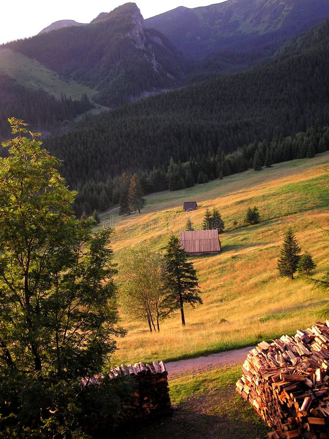 Tatra fields stock image. Image of dale, wood, shadow, glen - 155511