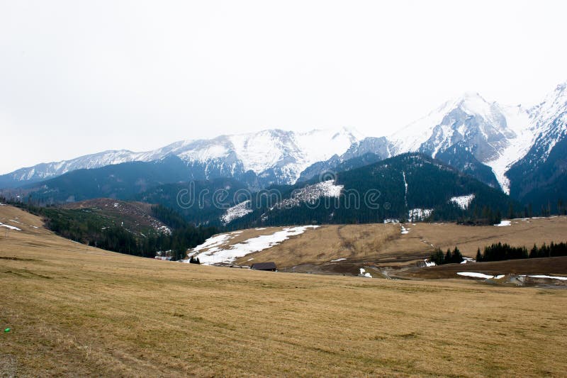 Tatra mountains in spring stock image. Image of panoramic - 24417101