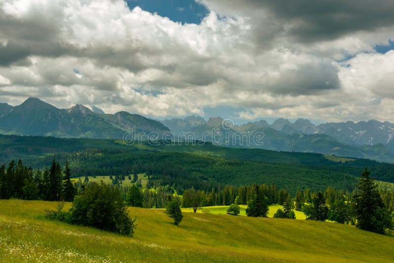 Tatras Mountains, Green Rolling Hills of Meadows and Wild Forest at ...