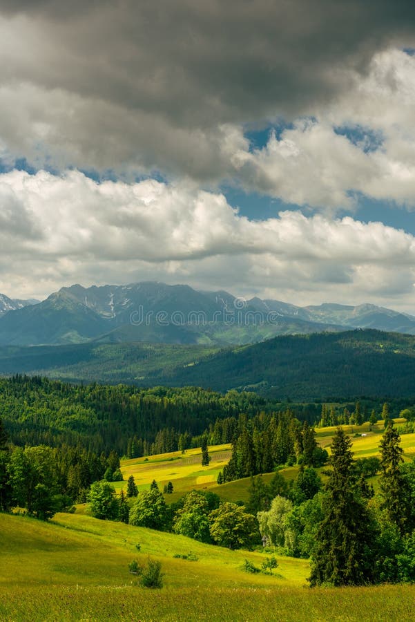 Tatras Mountains, Green Rolling Hills of Meadows and Wild Forest at ...