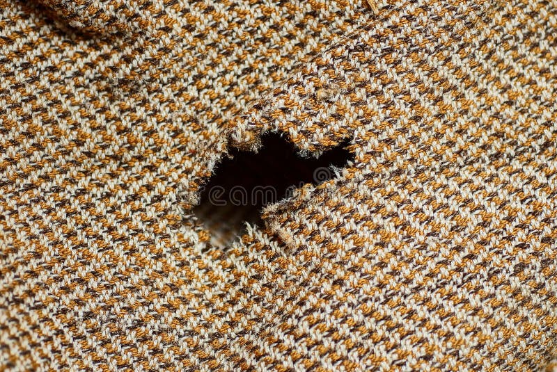 533 Tattered Clothes Stock Photos - Free & Royalty-Free Stock Photos ...