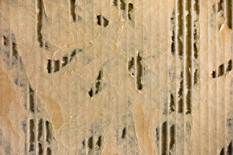 Tattered cardboard stock image. Image of damage, simple - 23380065