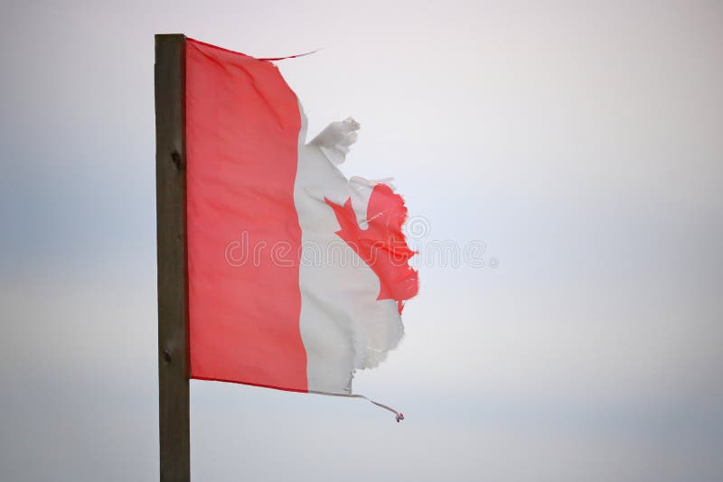 Canada Flag Ripped Stock Photos - Free & Royalty-Free Stock Photos from ...
