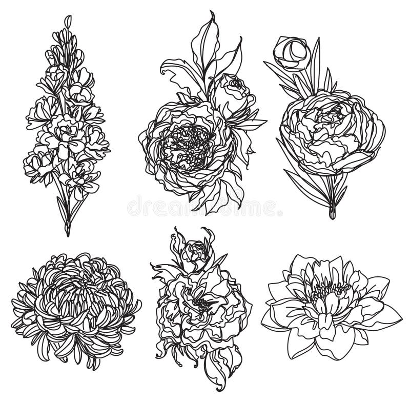 Tattoo Art Flower Hand Drawing and Sketch Editorial Stock Photo ...