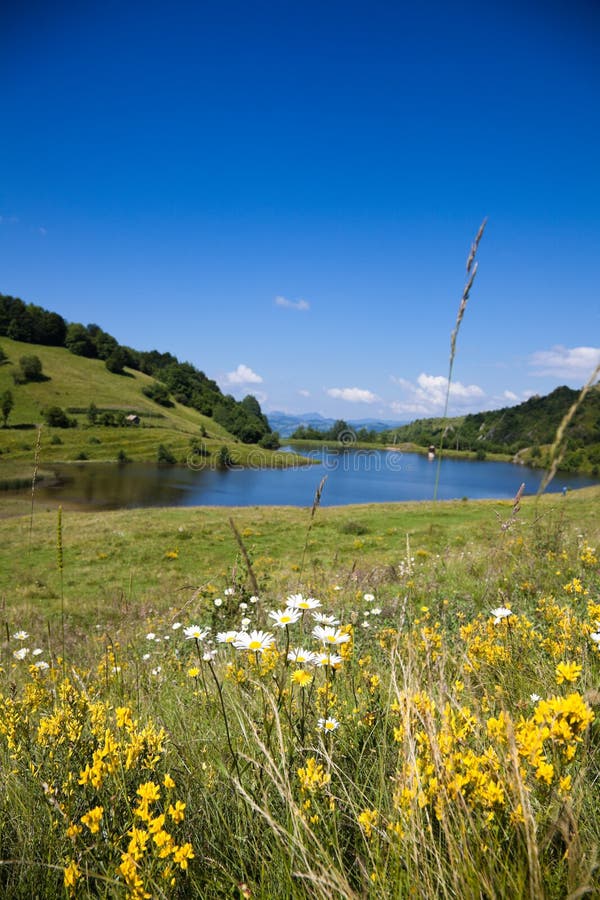 Tau Mare Lake stock photo. Image of landscape, nature - 15222004