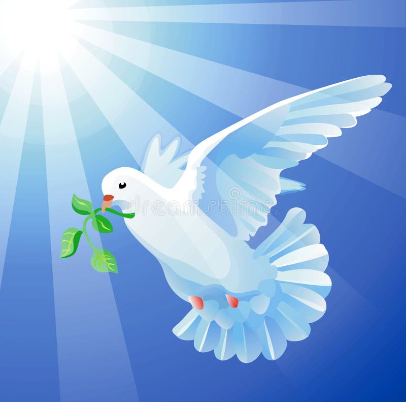 Weiße Taube Ist Das Symbol Eines Friedens, Blauer Himmel Vektor ...