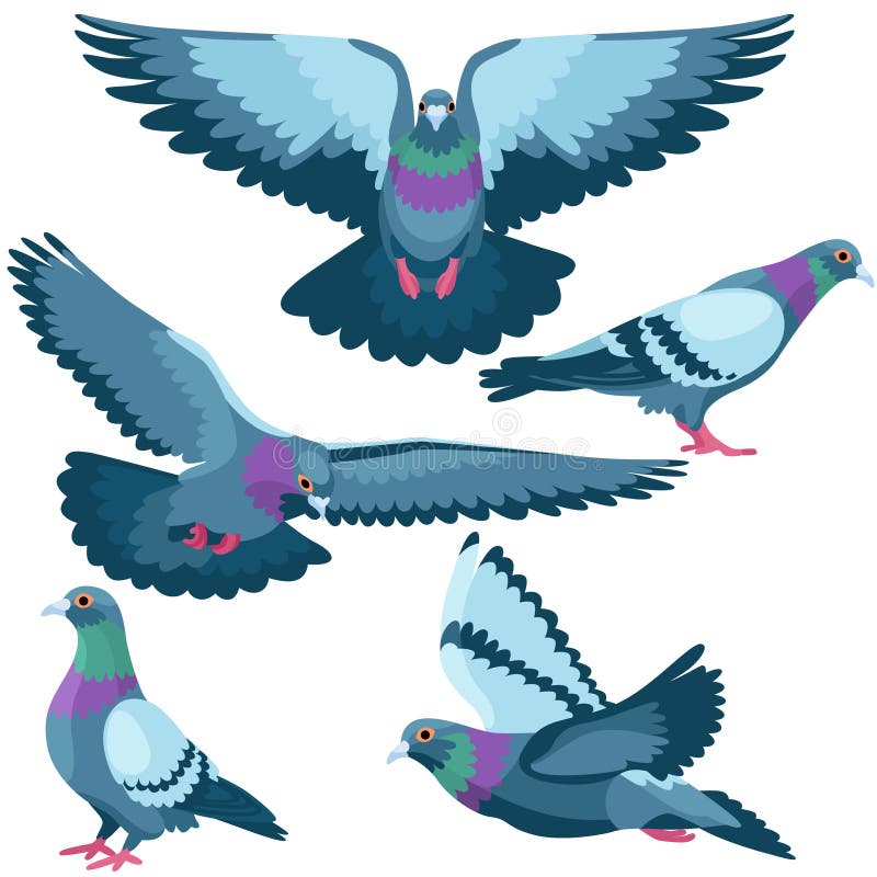 Tauben Auf Weißem Hintergrund Vektor Abbildung - Illustration von nett ...
