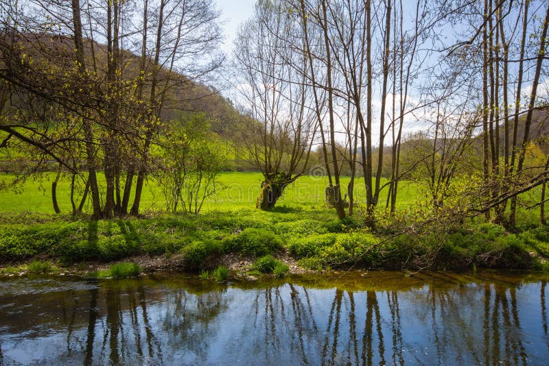 Tauber River Tree Row Reflections Stock Photo - Image of springtime ...