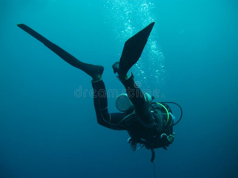 Tauchen im Meer stockbild. Bild von blau, tropisch, unterseeisch - 23529845
