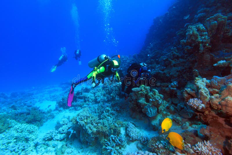 Tauchen Im Roten Meer Stockbild Bild Von Nave Tauchen 20489825