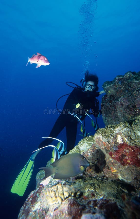 Tauchen unter Wasser stockfoto. Bild von attraktiv, unterseeboot - 1452886