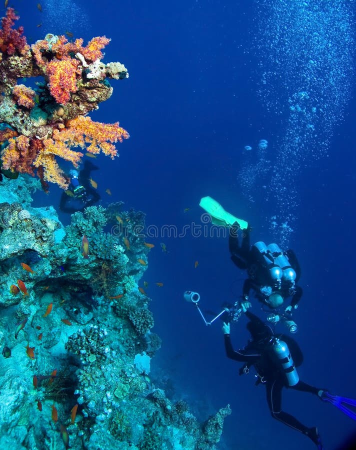 Taucher, der Foto nimmt stockfoto. Bild von taucher, ruhe - 653788