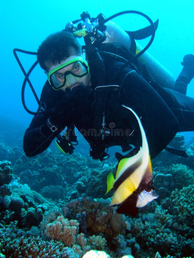 Taucher stockbild. Bild von schnorcheln, blinken, malediven - 15931907