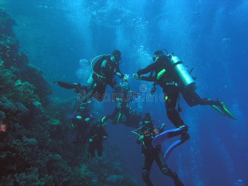 Taucher auf dem Riff stockfoto. Bild von taucher, abenteuer - 6973972