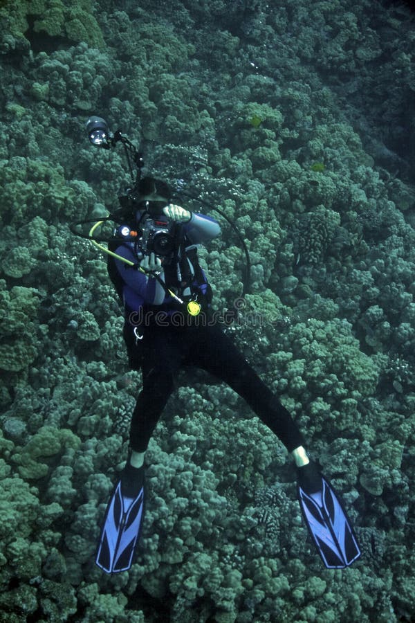 Taucher-Fotografieren stockfoto. Bild von tätigkeit, person - 7583390