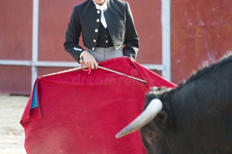 Taureau de combat photo stock. Image du toréador, cruauté - 10969776