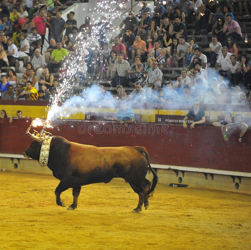 Corrida. Photo De Combat De Taureau D'Espagne. Taureau Noir ...