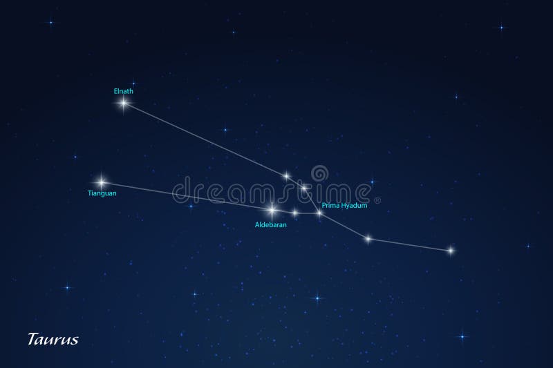 Taurus Constellation with Star Names in Night Sky Stock Vector ...
