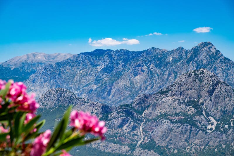 Taurus Mountains in Antalya, Turkey Stock Photo - Image of floral ...