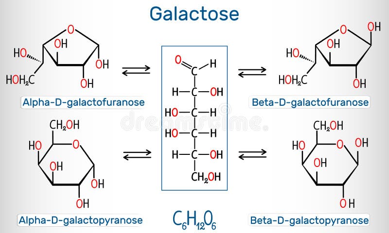 Tautomeric Forms of D-galactose, Milk Sugar. Alpha-D- Galactofuranose ... Tautomeric Forms of D-galactose, Milk Sugar. Alpha-D- Galactofuranose ...
